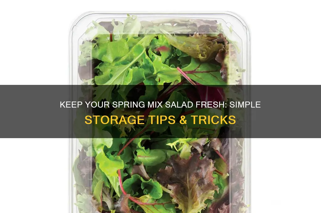 Keep Your Spring Mix Salad Fresh: Simple Storage Tips & Tricks | CySalad
