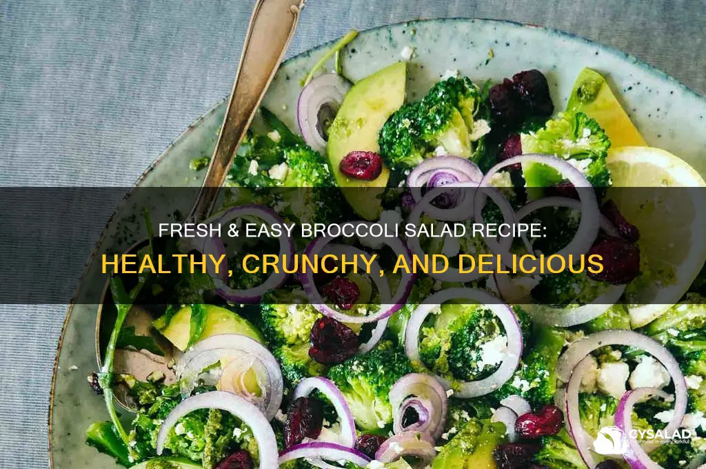 Fresh & Easy Broccoli Salad Recipe: Healthy, Crunchy, And Delicious ...