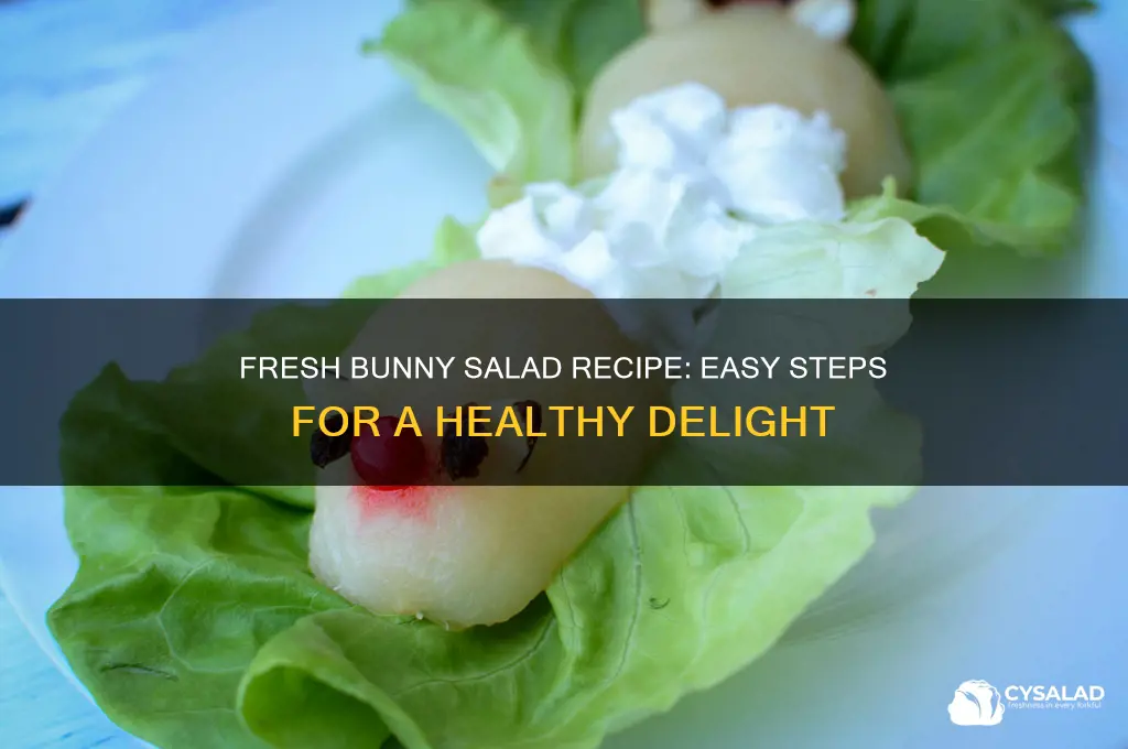 Fresh Bunny Salad Recipe: Easy Steps For A Healthy Delight | CySalad