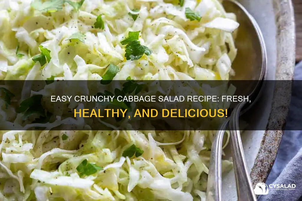 Easy Crunchy Cabbage Salad Recipe: Fresh, Healthy, And Delicious! | CySalad