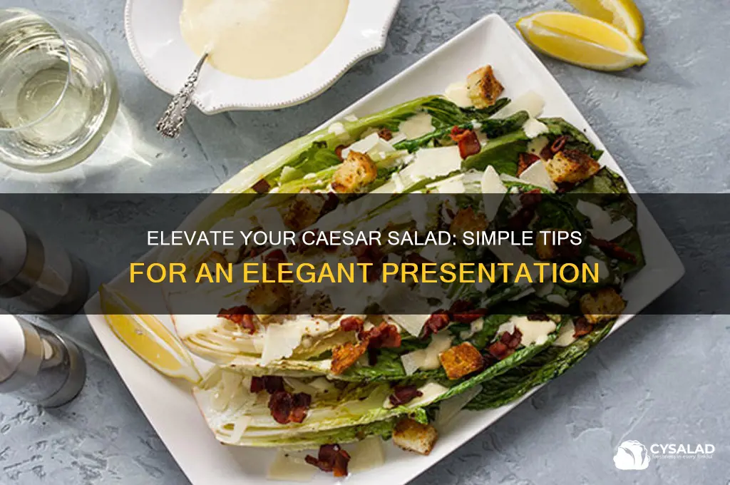 Elevate Your Caesar Salad: Simple Tips For An Elegant Presentation ...