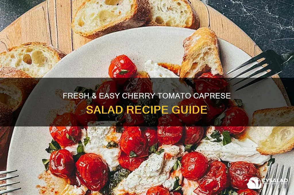 Fresh & Easy Cherry Tomato Caprese Salad Recipe Guide | CySalad