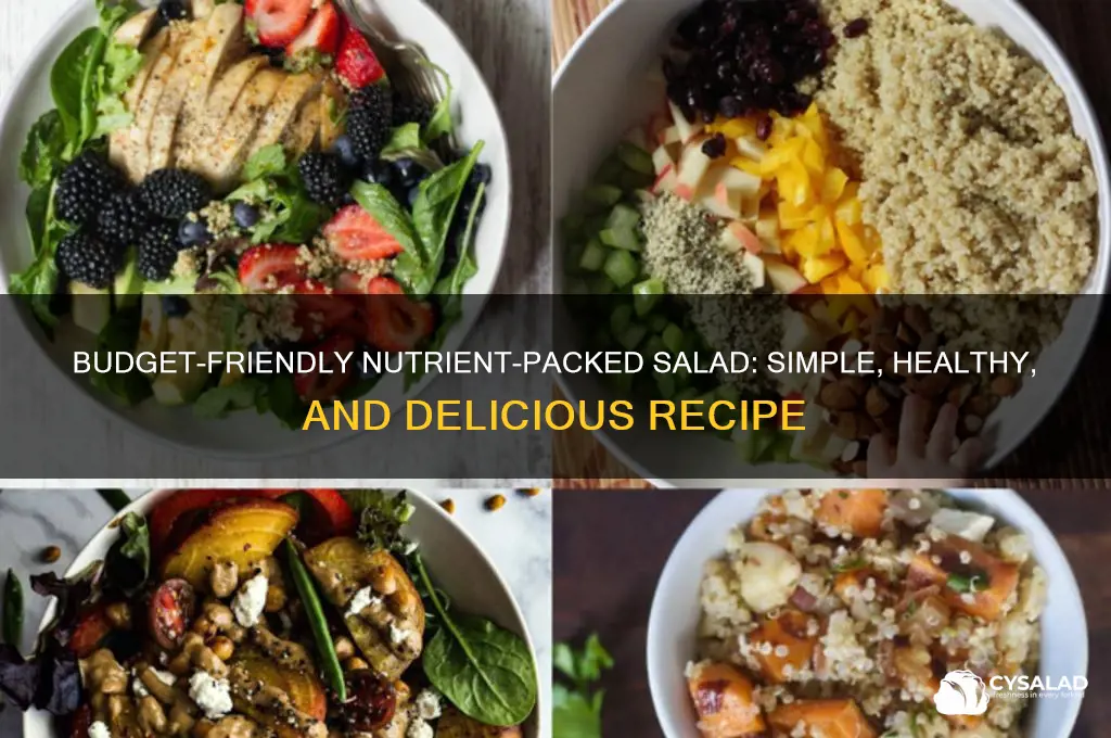 Budget-Friendly Nutrient-Packed Salad: Simple, Healthy, And Delicious ...