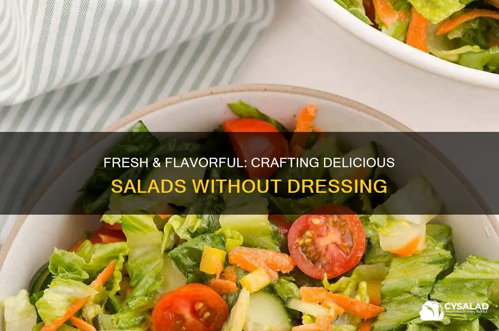 Fresh & Flavorful: Crafting Delicious Salads Without Dressing | CySalad