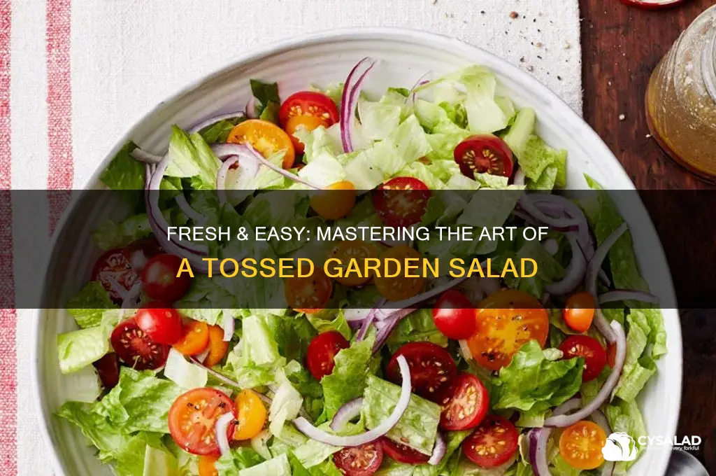 Fresh & Easy: Mastering The Art Of A Tossed Garden Salad | CySalad