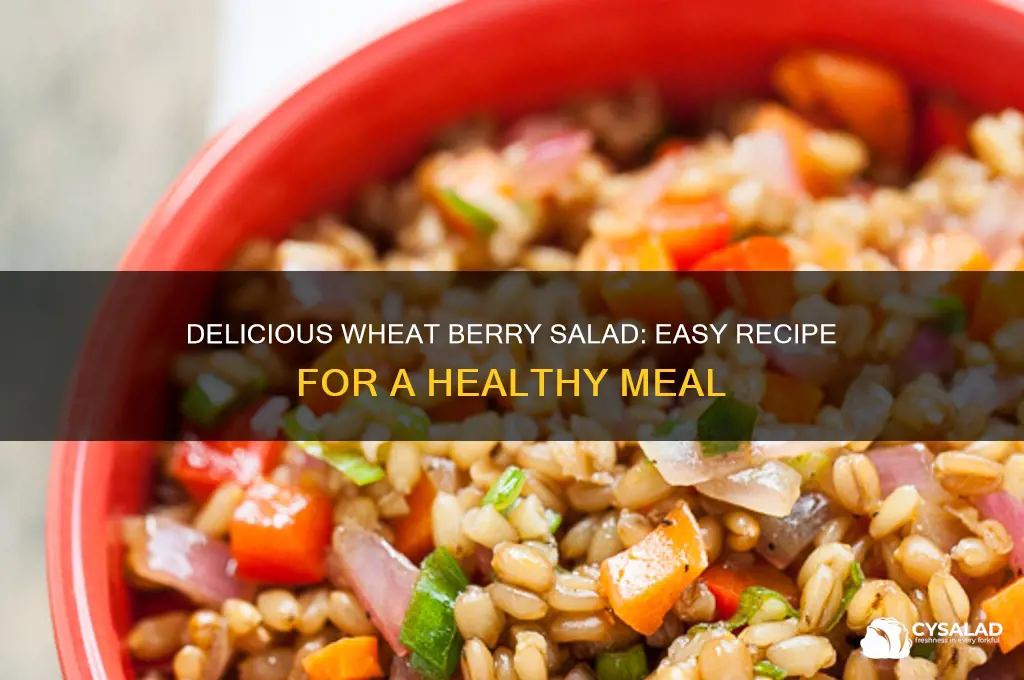 Delicious Wheat Berry Salad: Easy Recipe For A Healthy Meal | CySalad