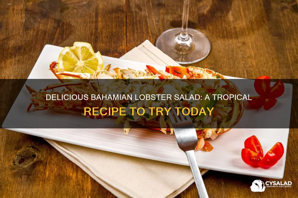 Delicious Bahamian Lobster Salad: A Tropical Recipe To Try Today | CySalad