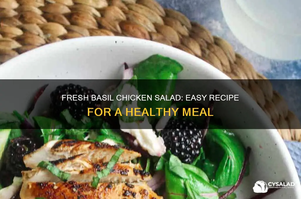 Fresh Basil Chicken Salad: Easy Recipe For A Healthy Meal | CySalad