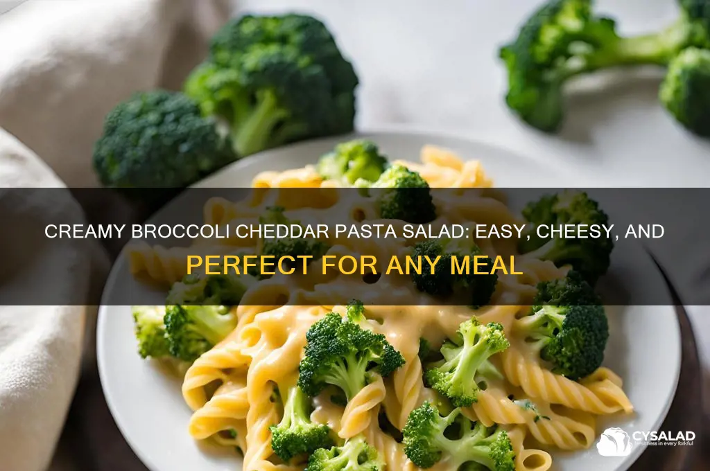Creamy Broccoli Cheddar Pasta Salad: Easy, Cheesy, And Perfect For Any ...