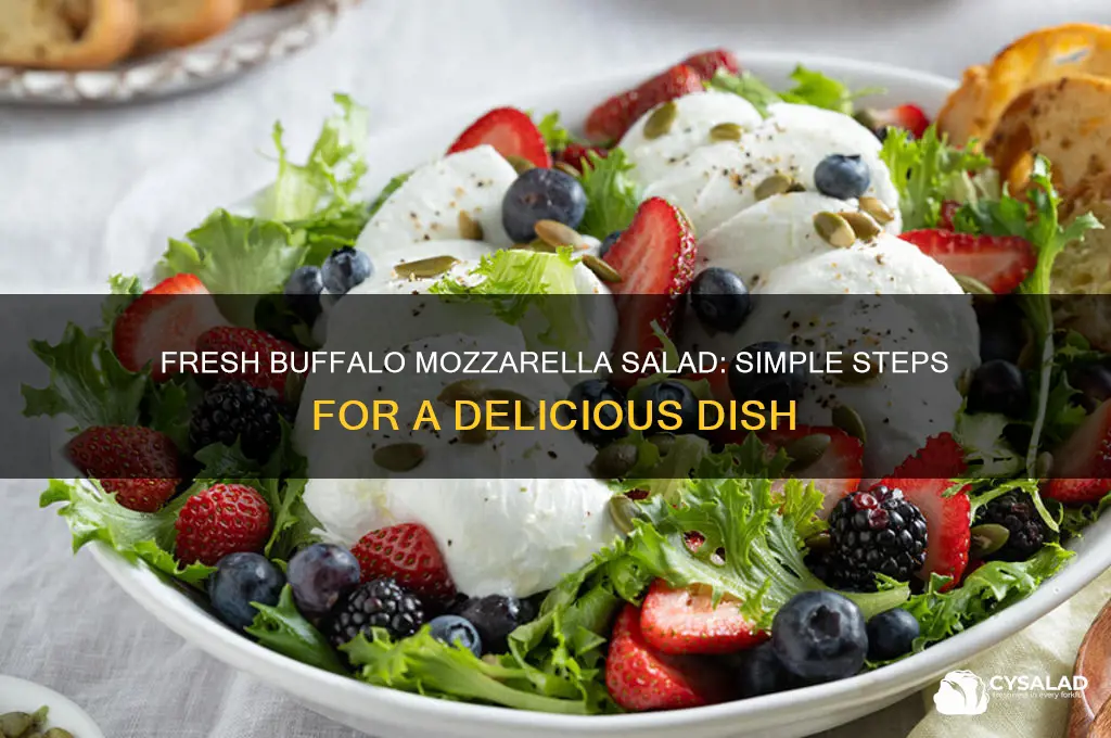 Fresh Buffalo Mozzarella Salad: Simple Steps For A Delicious Dish | CySalad