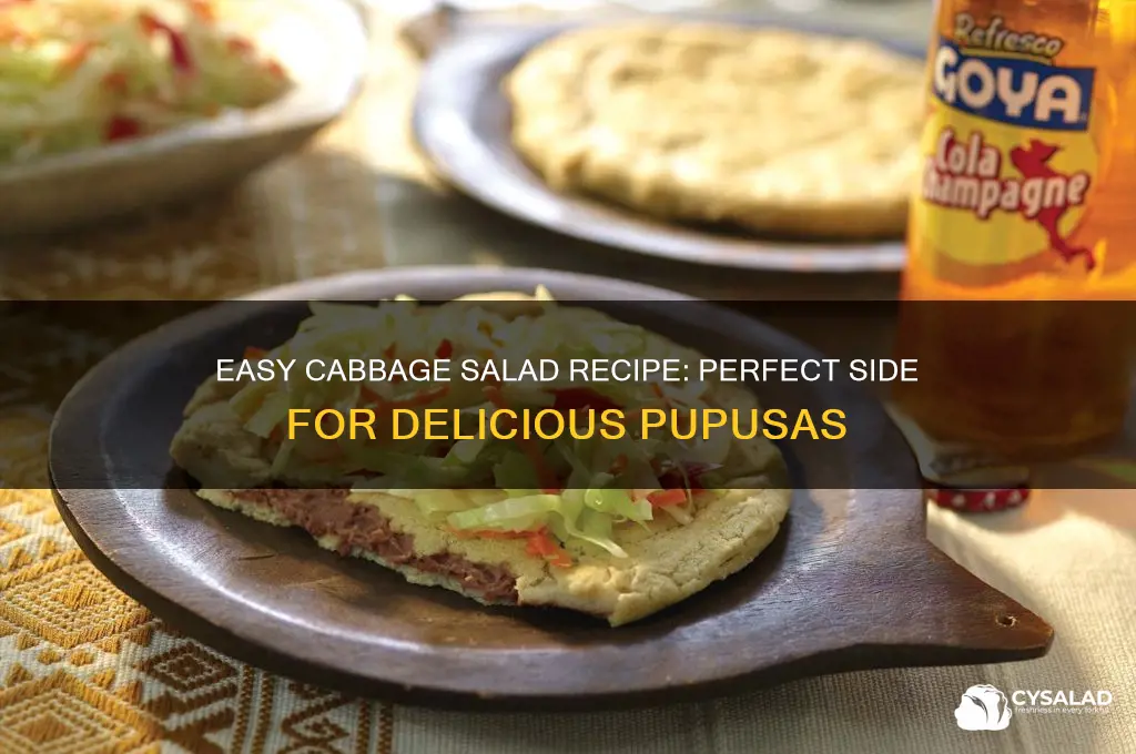 Easy Cabbage Salad Recipe: Perfect Side For Delicious Pupusas | CySalad