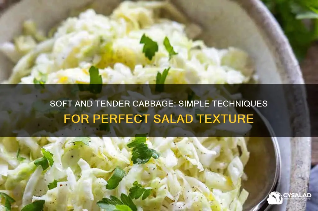 Soft And Tender Cabbage: Simple Techniques For Perfect Salad Texture ...