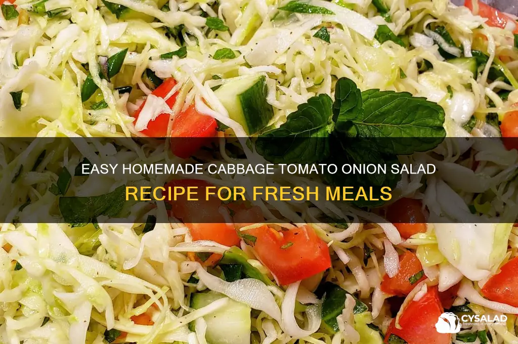 Easy Homemade Cabbage Tomato Onion Salad Recipe For Fresh Meals | CySalad