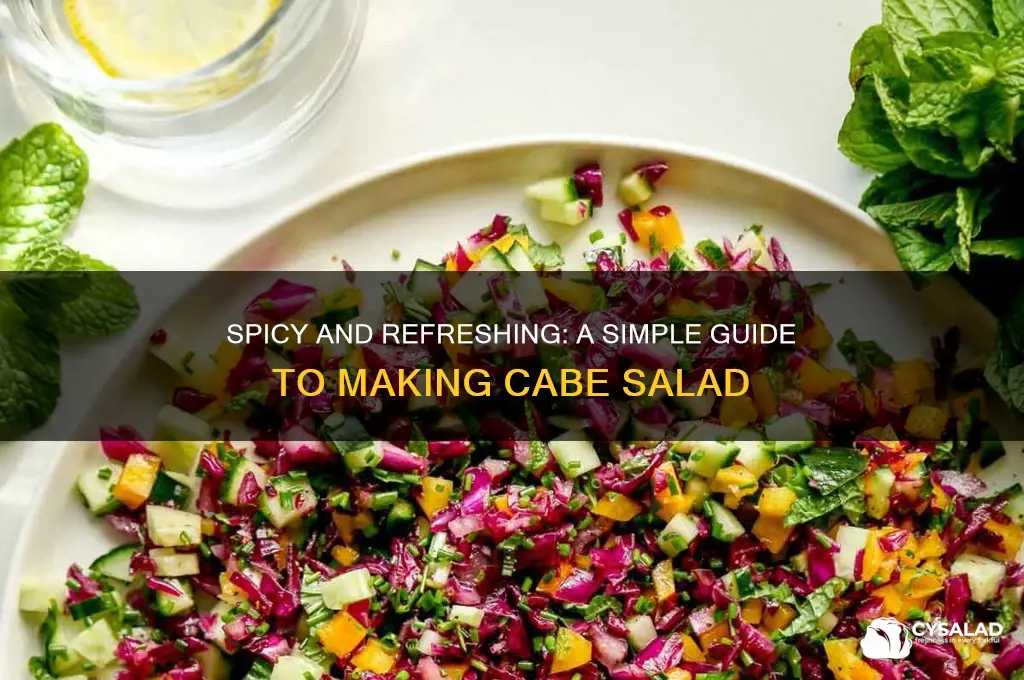 Spicy And Refreshing: A Simple Guide To Making Cabe Salad | CySalad