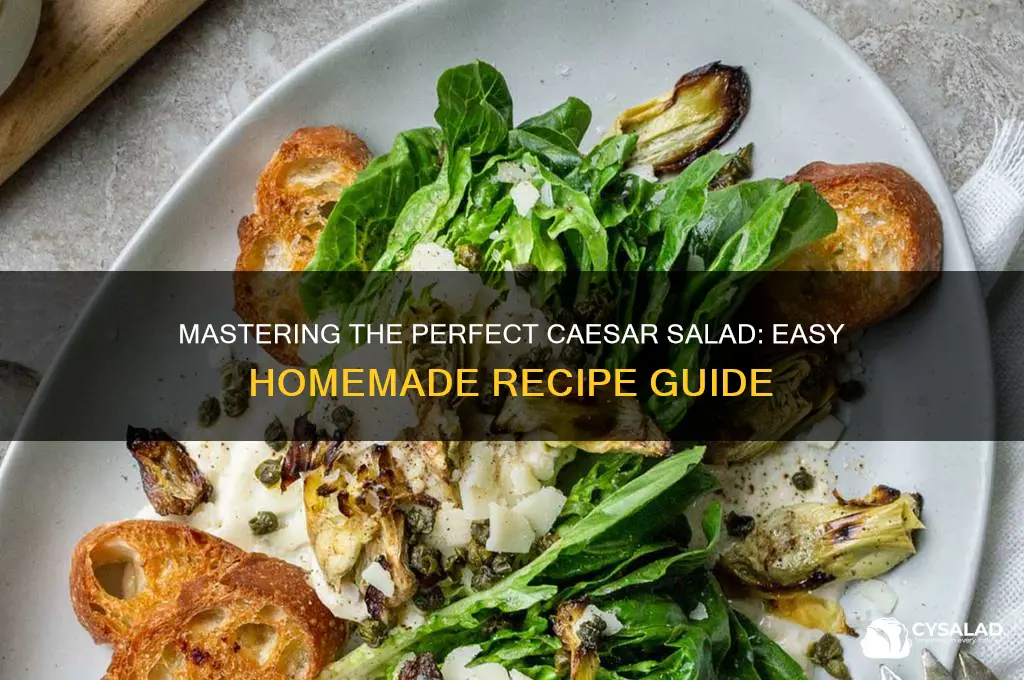 Mastering The Perfect Caesar Salad: Easy Homemade Recipe Guide | CySalad