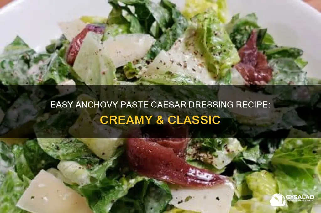 Easy Anchovy Paste Caesar Dressing Recipe: Creamy & Classic | CySalad