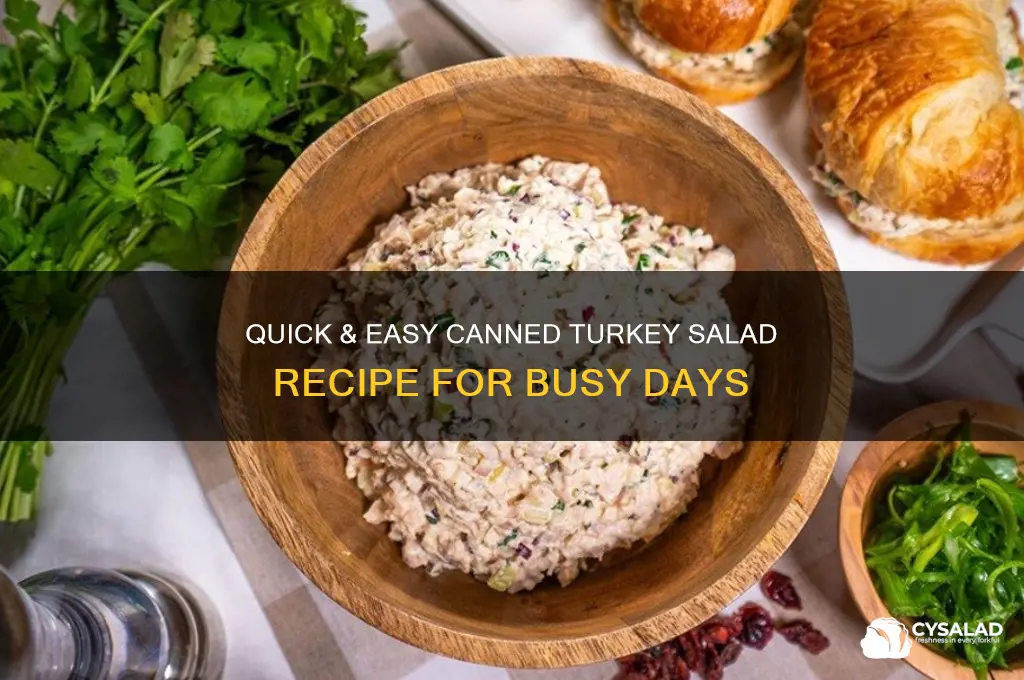 Quick & Easy Canned Turkey Salad Recipe For Busy Days | CySalad
