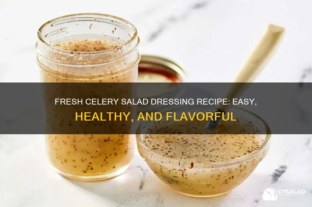 Fresh Celery Salad Dressing Recipe: Easy, Healthy, And Flavorful | CySalad