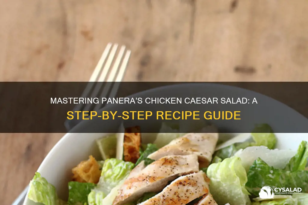 Mastering Panera’S Chicken Caesar Salad: A Step-By-Step Recipe Guide ...