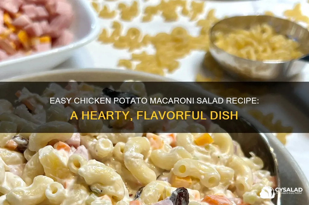 Easy Chicken Potato Macaroni Salad Recipe: A Hearty, Flavorful Dish ...