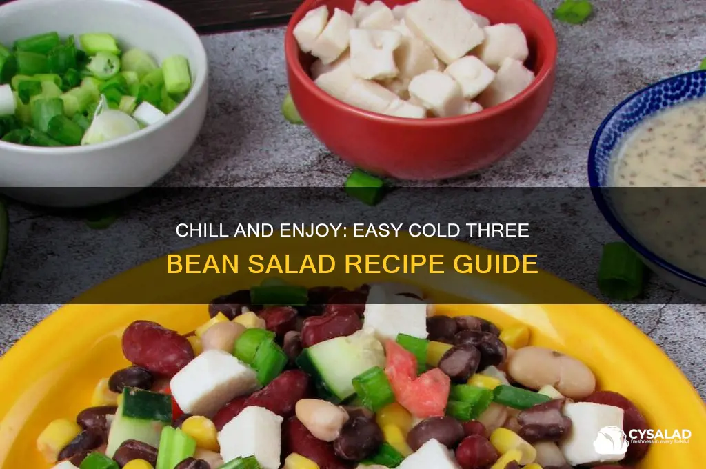 Chill And Enjoy: Easy Cold Three Bean Salad Recipe Guide | CySalad