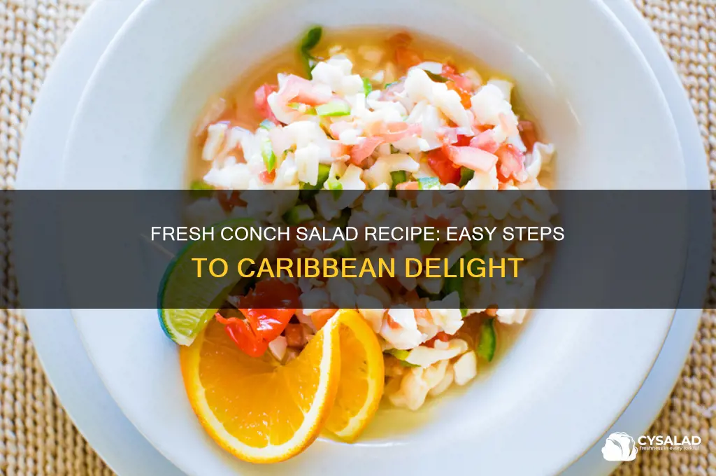 Fresh Conch Salad Recipe: Easy Steps To Caribbean Delight | CySalad