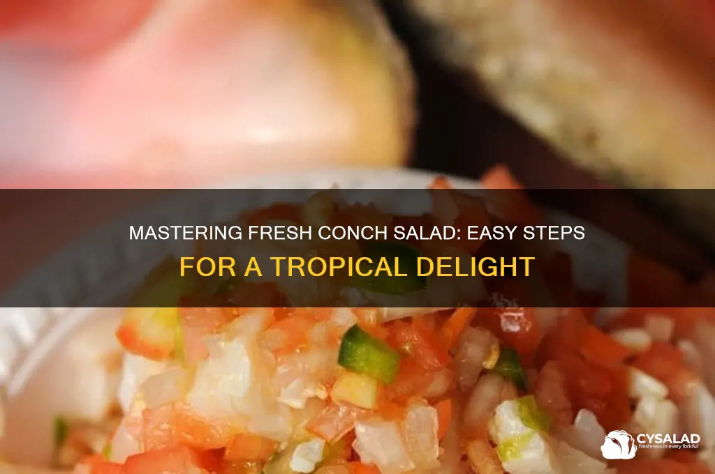 Mastering Fresh Conch Salad: Easy Steps For A Tropical Delight | CySalad