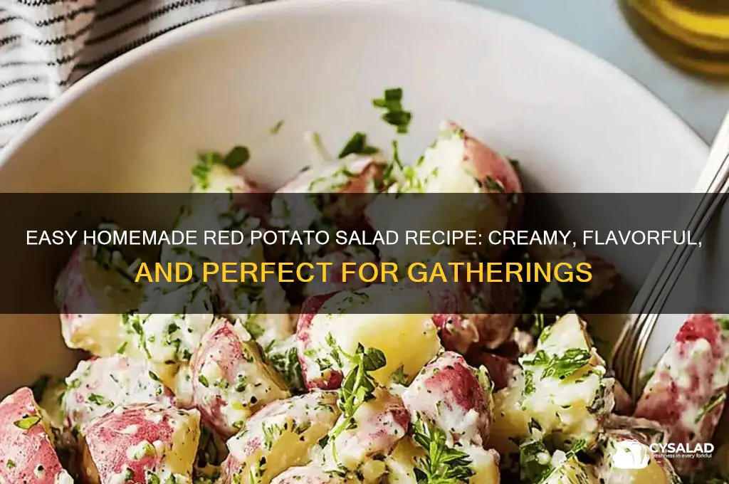 Easy Homemade Red Potato Salad Recipe: Creamy, Flavorful, And Perfect ...
