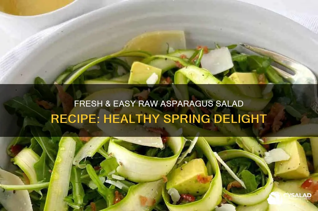 Fresh & Easy Raw Asparagus Salad Recipe: Healthy Spring Delight | CySalad