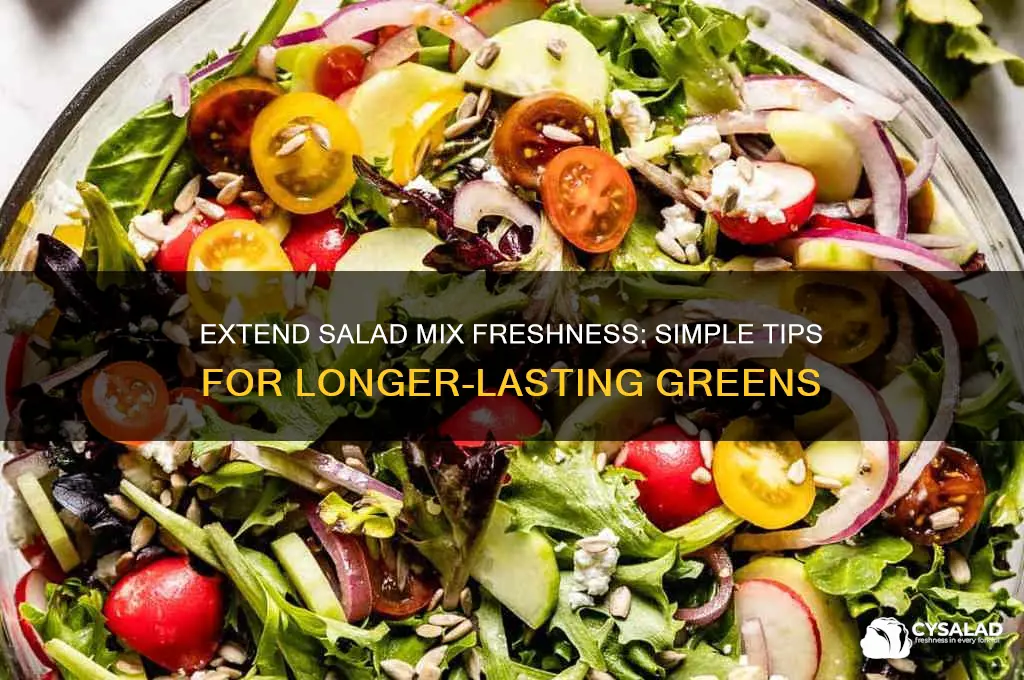Extend Salad Mix Freshness: Simple Tips For Longer-Lasting Greens | CySalad