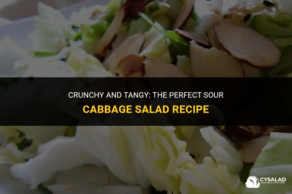 Crunchy And Tangy: The Perfect Sour Cabbage Salad Recipe | CySalad