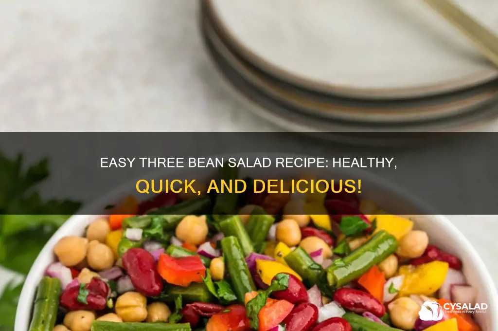 Easy Three Bean Salad Recipe: Healthy, Quick, And Delicious! | CySalad
