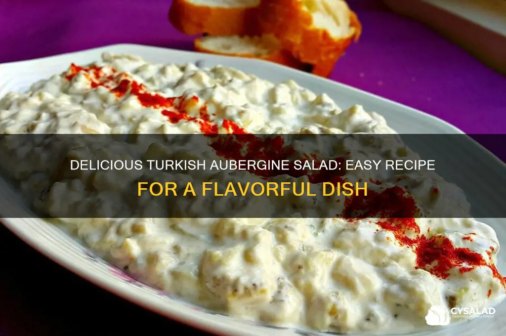 Delicious Turkish Aubergine Salad: Easy Recipe For A Flavorful Dish ...
