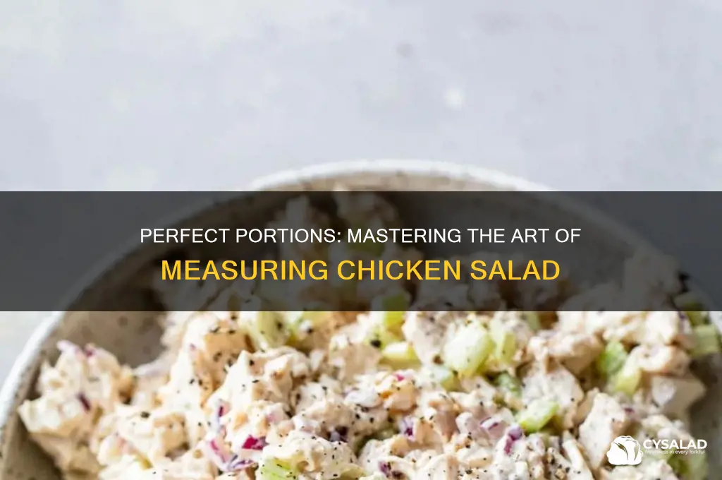 Perfect Portions: Mastering The Art Of Measuring Chicken Salad | CySalad