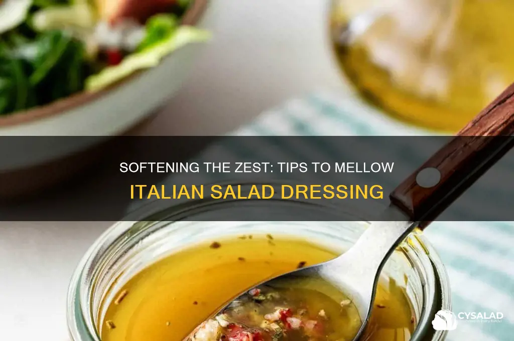 Softening The Zest: Tips To Mellow Italian Salad Dressing | CySalad