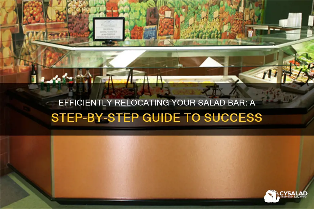 Efficiently Relocating Your Salad Bar: A Step-By-Step Guide To Success ...