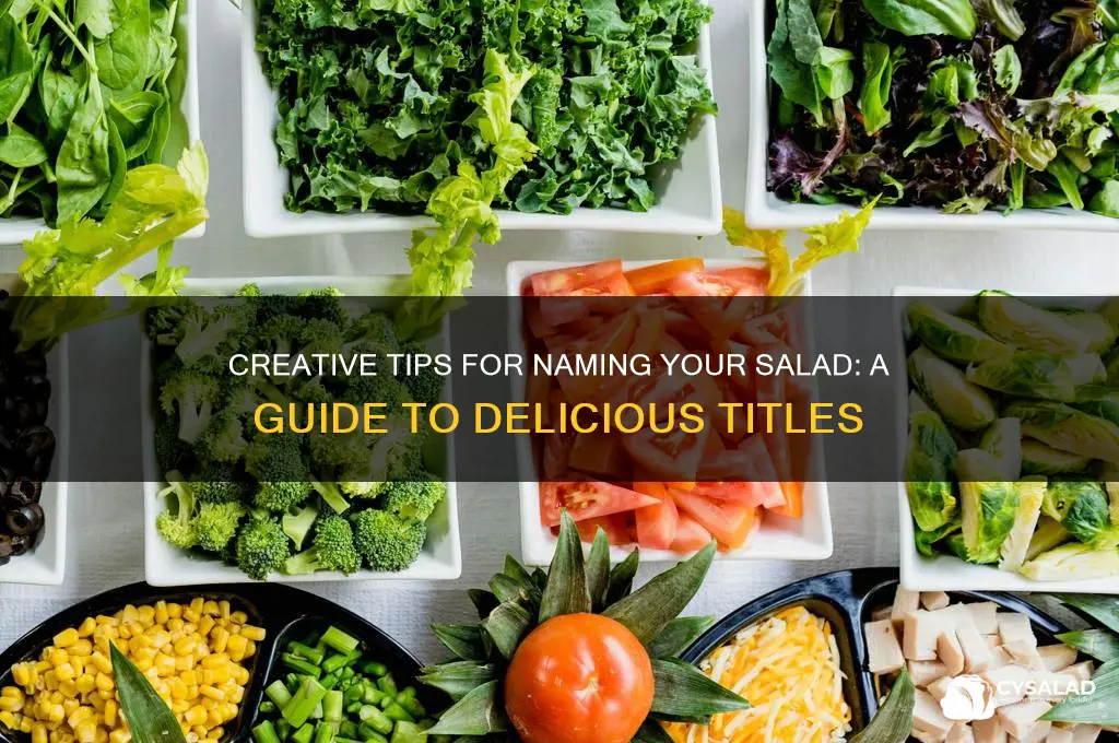 Creative Tips For Naming Your Salad: A Guide To Delicious Titles | CySalad