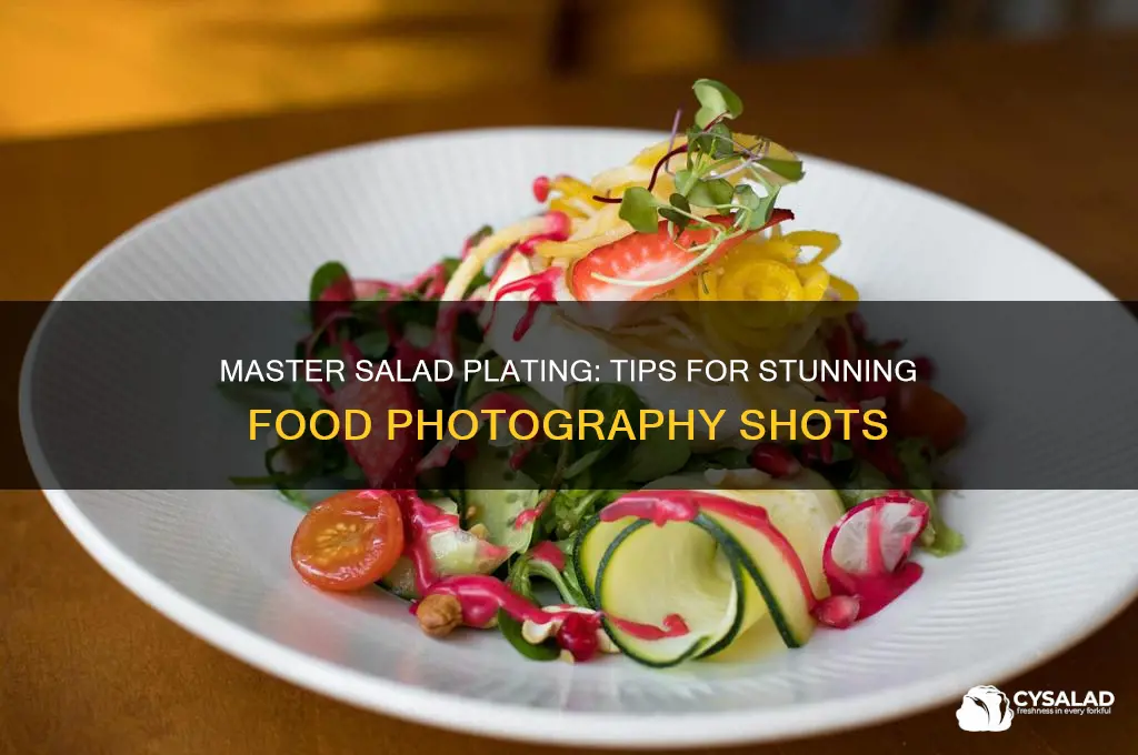 Master Salad Plating: Tips For Stunning Food Photography Shots | CySalad