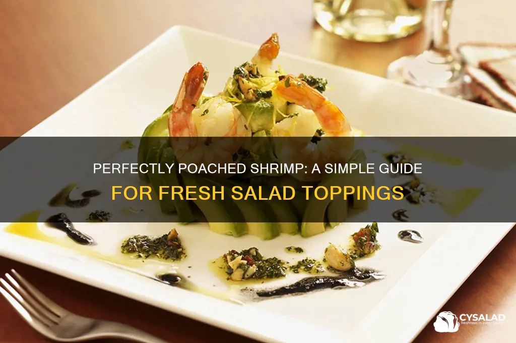 Perfectly Poached Shrimp: A Simple Guide For Fresh Salad Toppings | CySalad