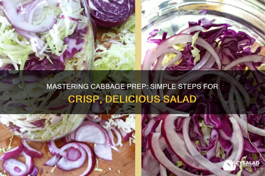 Mastering Cabbage Prep: Simple Steps For Crisp, Delicious Salad | CySalad