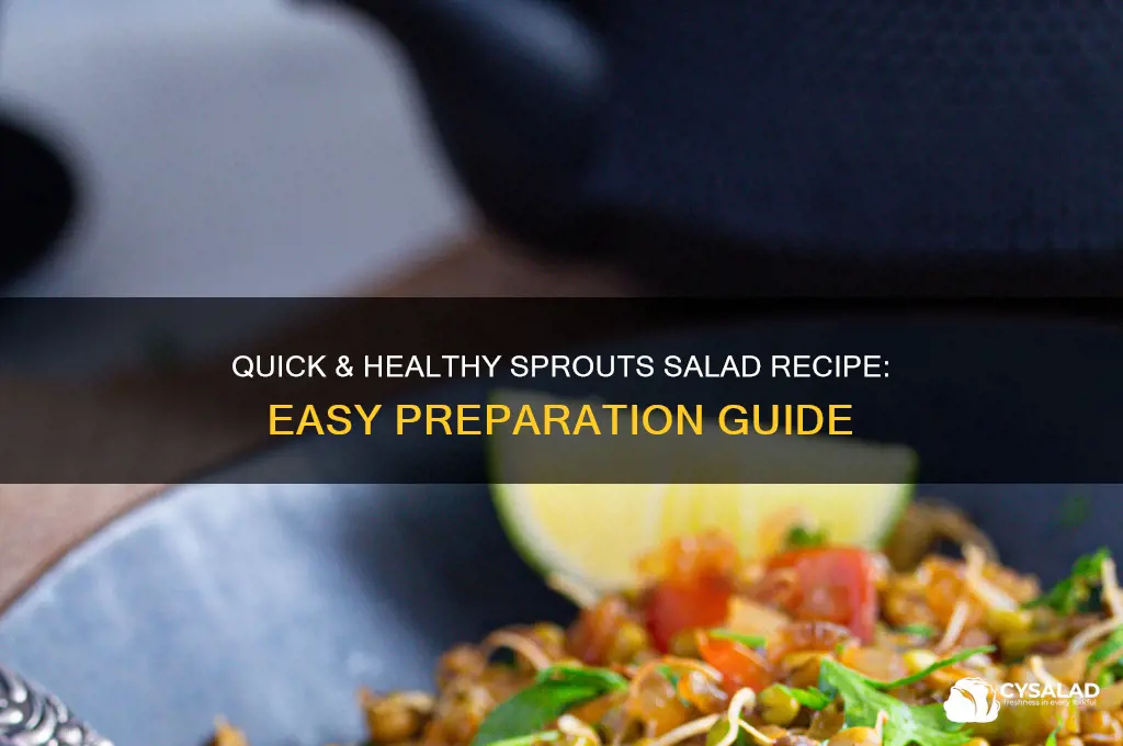 Quick & Healthy Sprouts Salad Recipe: Easy Preparation Guide | CySalad