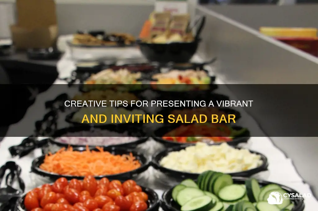 Creative Tips For Presenting A Vibrant And Inviting Salad Bar | CySalad