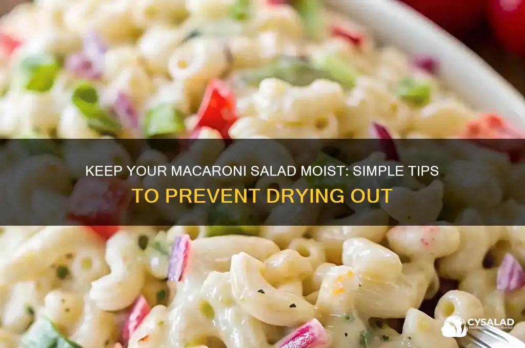 Keep Your Macaroni Salad Moist: Simple Tips To Prevent Drying Out | CySalad