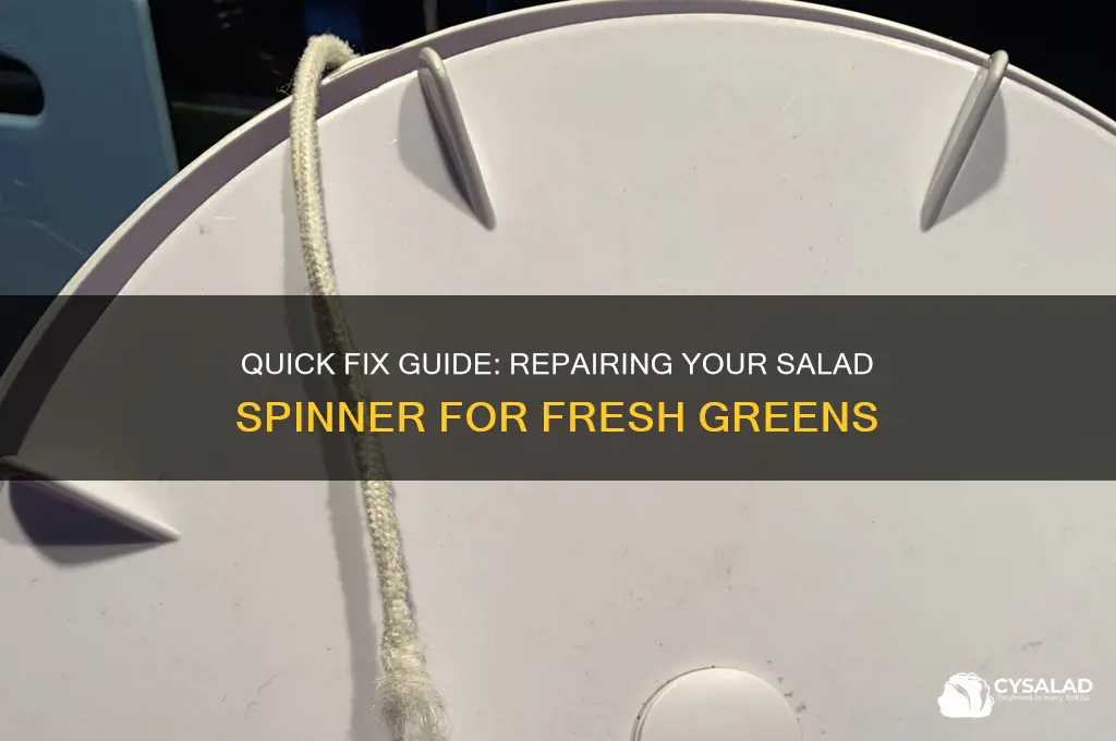 Quick Fix Guide: Repairing Your Salad Spinner For Fresh Greens | CySalad