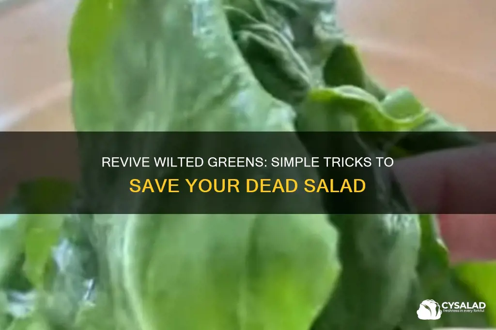 Revive Wilted Greens: Simple Tricks To Save Your Dead Salad | CySalad