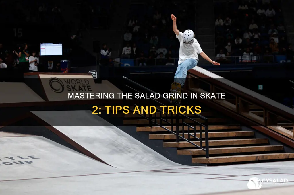 Mastering The Salad Grind In Skate 2: Tips And Tricks | CySalad