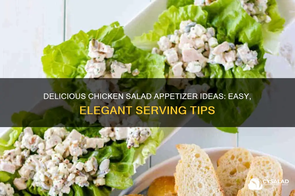 Delicious Chicken Salad Appetizer Ideas: Easy, Elegant Serving Tips ...
