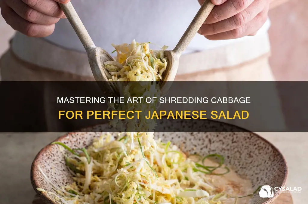 Mastering The Art Of Shredding Cabbage For Perfect Japanese Salad | CySalad