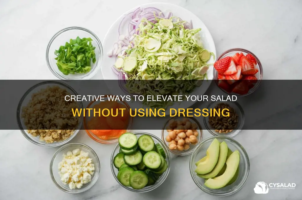 Creative Ways To Elevate Your Salad Without Using Dressing | CySalad