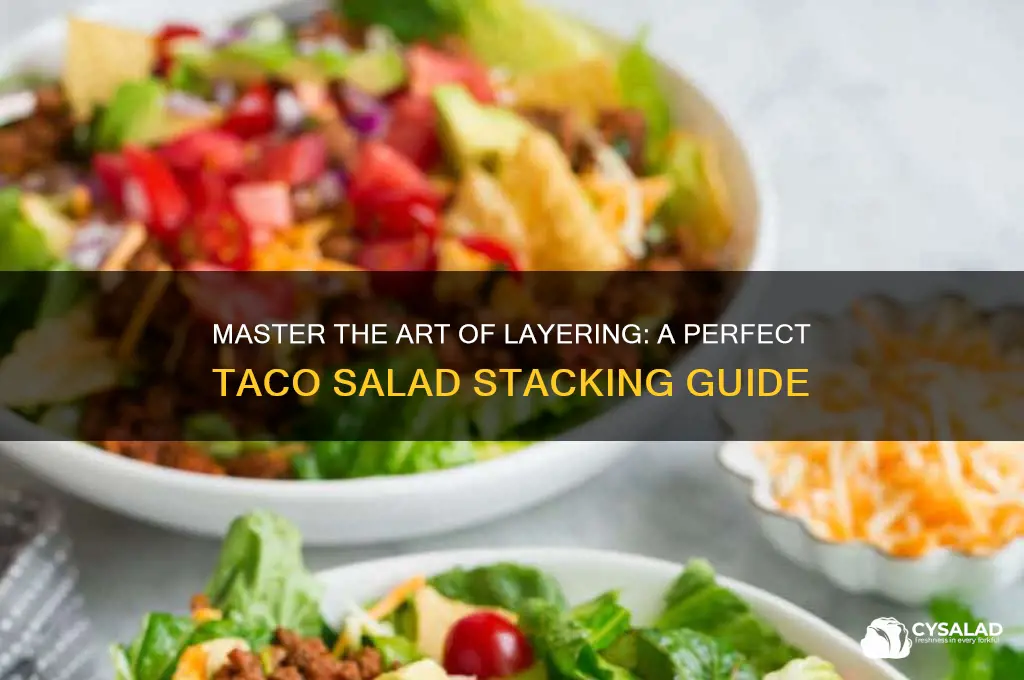 Master The Art Of Layering: A Perfect Taco Salad Stacking Guide | CySalad